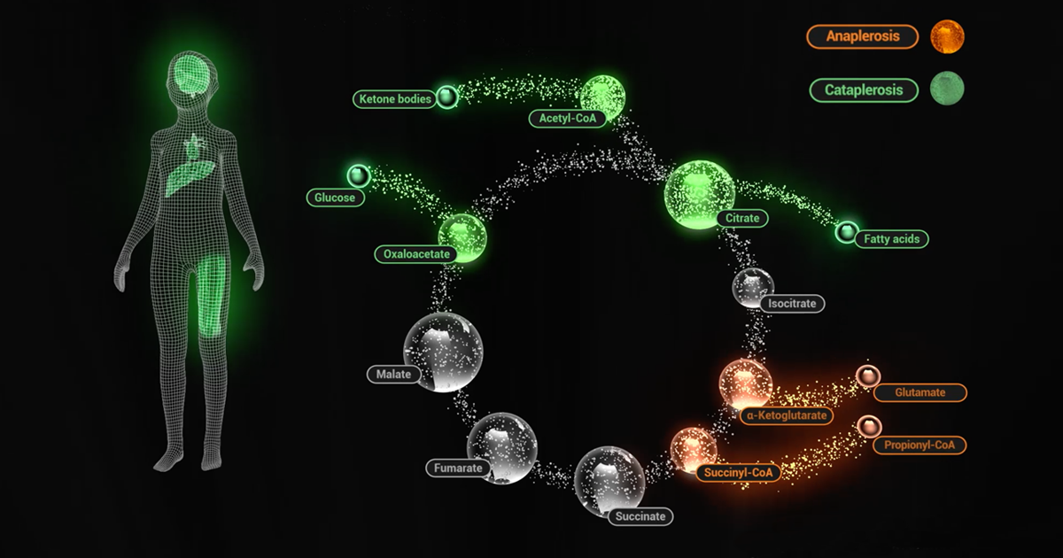 Long-Chain Fatty Acid Oxidation Disorders: An Information Source